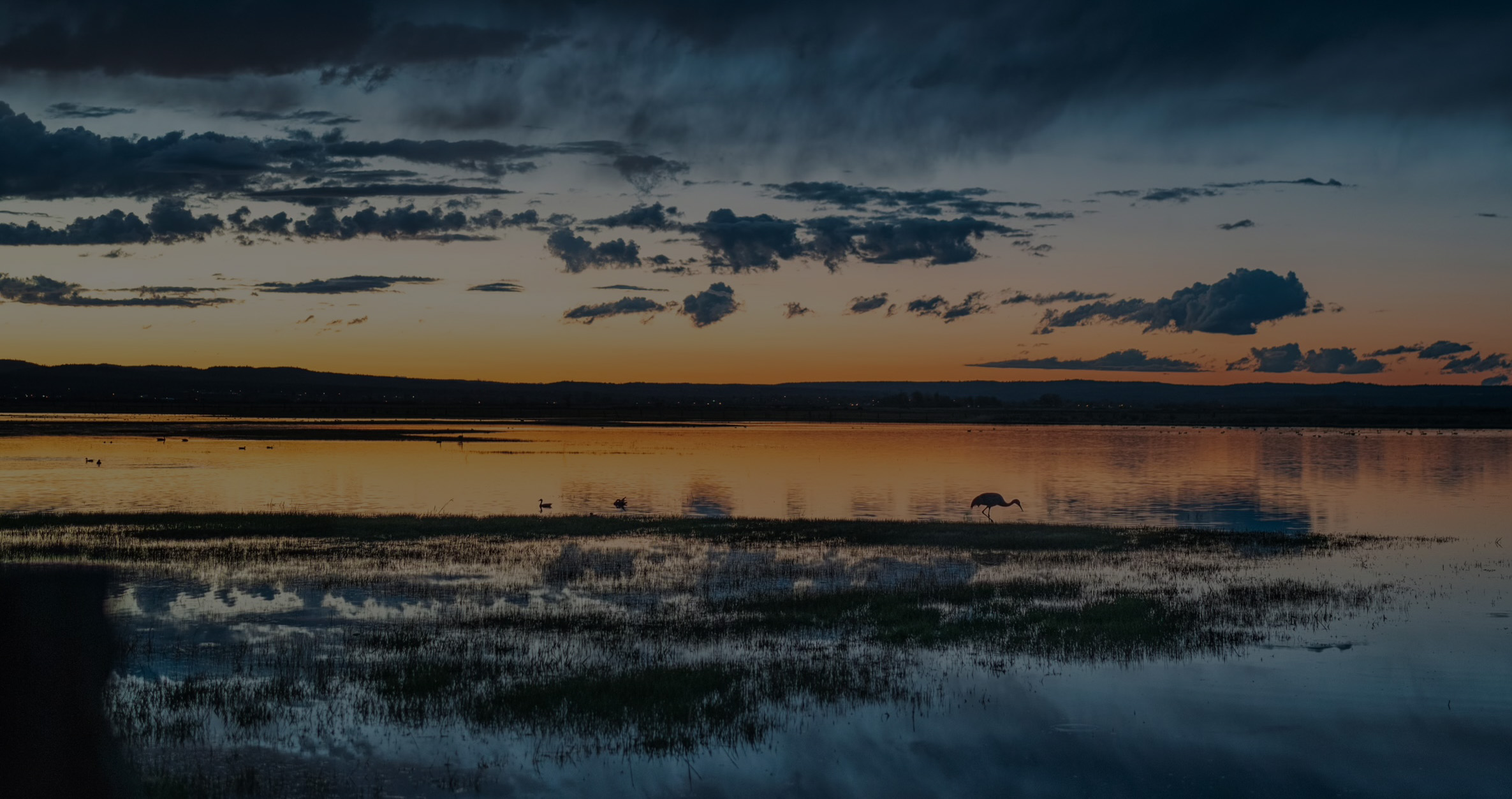 Migratory Bird Festival | April 11th-14th In Burns, Oregon