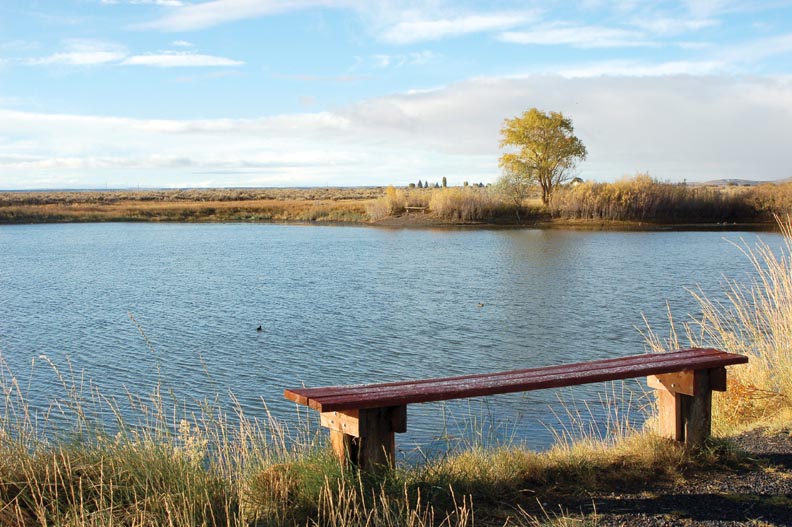 Bird Crawl and Passport - Migratory Bird Festival