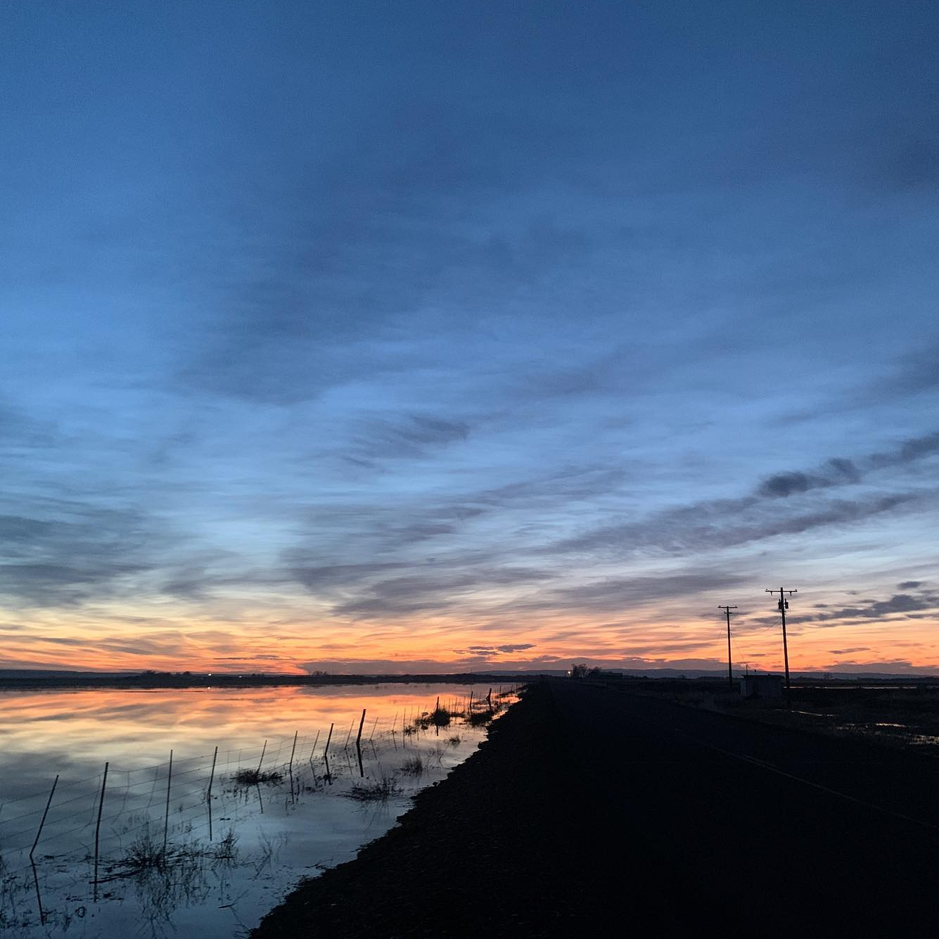 Migratory Bird Festival | April 11th-14th In Burns, Oregon
