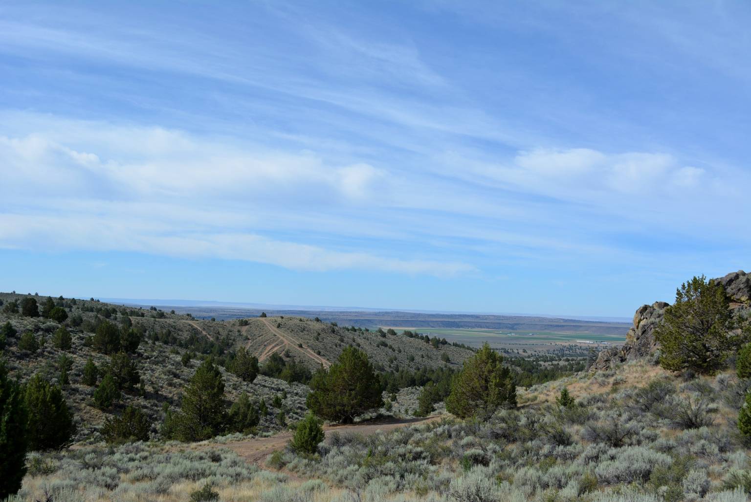 Bird Crawl and Passport - Migratory Bird Festival